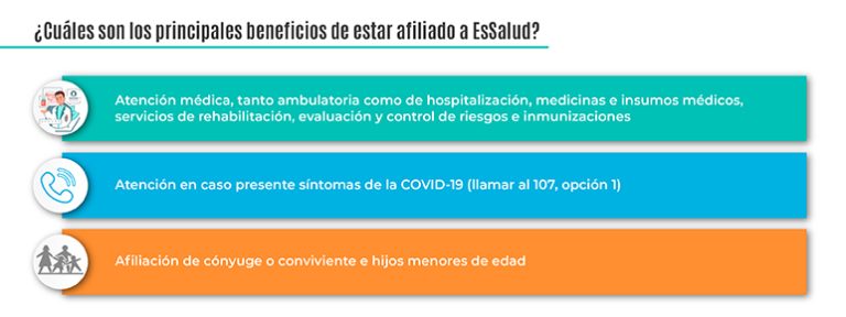 Todo lo que necesitas saber sobre el SGFA de EsSalud en Perú - essalud